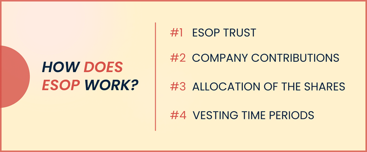 What is an Employee Stock Ownership Plan (ESOP)? How does it work?